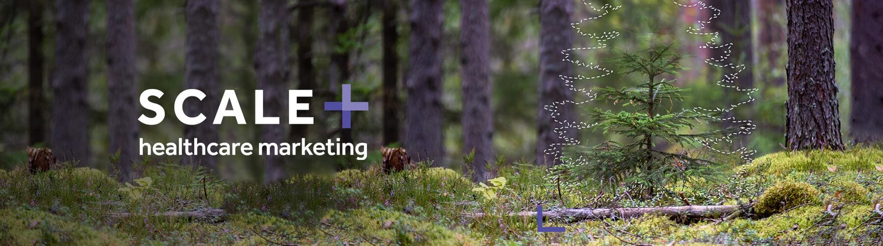 Healthcare Marketing Services | SCALE Healthcare